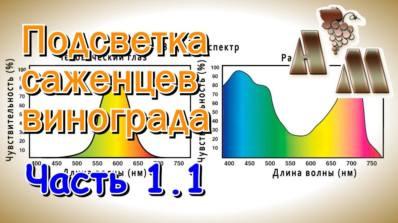 Александр Мчедлидзе на RUTUBE: 88 видео – смотреть онлайн и бесплатно(53895)
